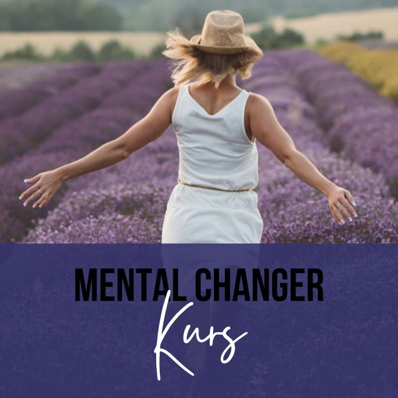 Online Kurse - Benjamin Berg